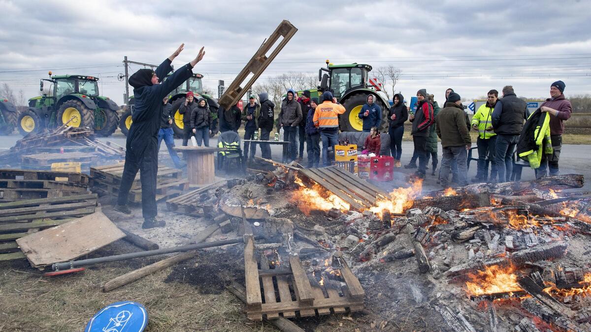 “Dié boeren hebben we niet gevraagd. Ik hoop dat ze snel vertrekken”: achter de schermen van de ...